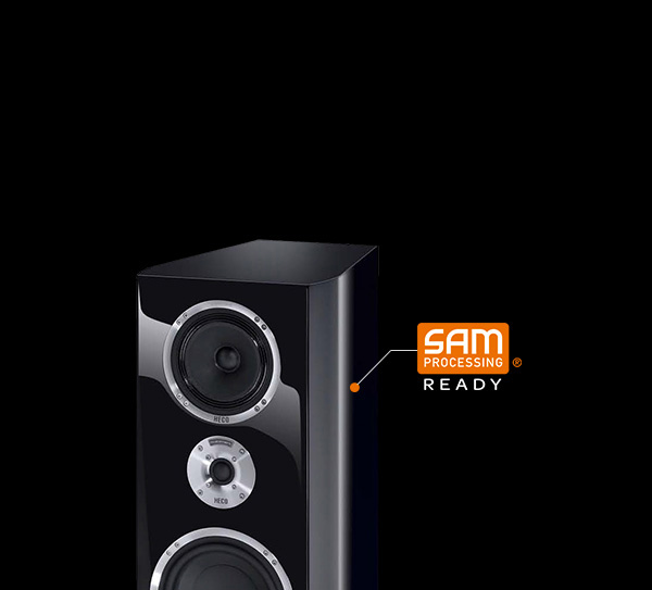 HECO THE NEW STATEMENT